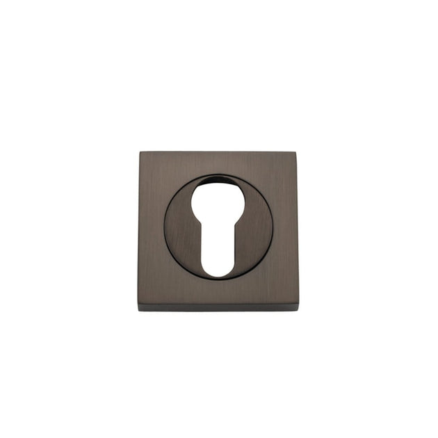 Escutcheon Euro Concealed Fix Square Pair Signature Brass | Paddington ...