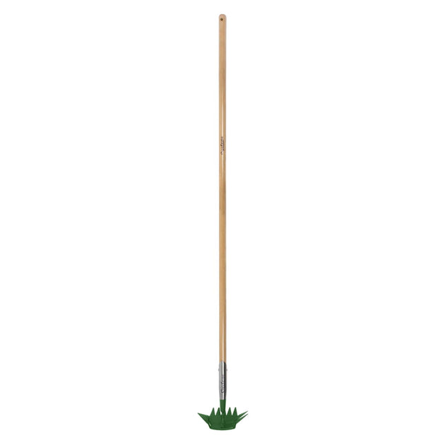 Weeder Multi Surface Cyclone | Paddington Hardware
